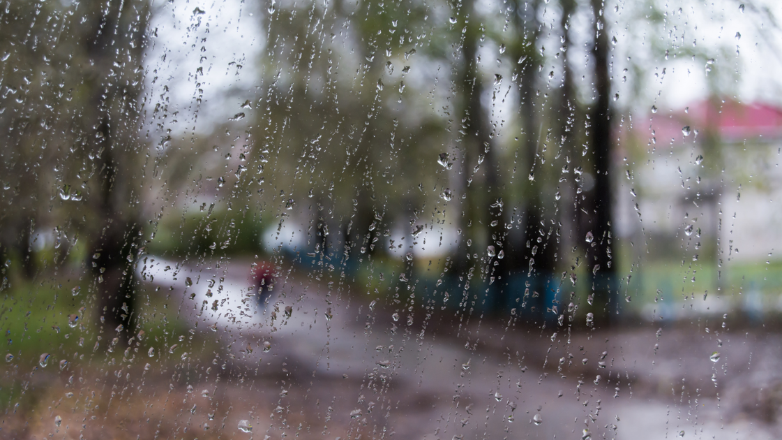 De PAWW: wat betekent dit voor jou als werkgever? | Bentacera